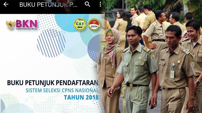 Info CPNS 2018, Pelajari Cara Log in sscn.bkn.go.id Lewat Buku Panduan ...
