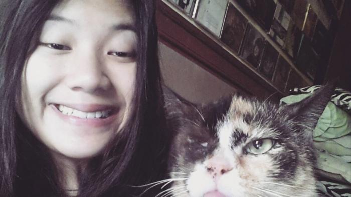 Instagram Danilla Riyadi - Menang Banyak! Kucing Ini Memijat Majikan ...