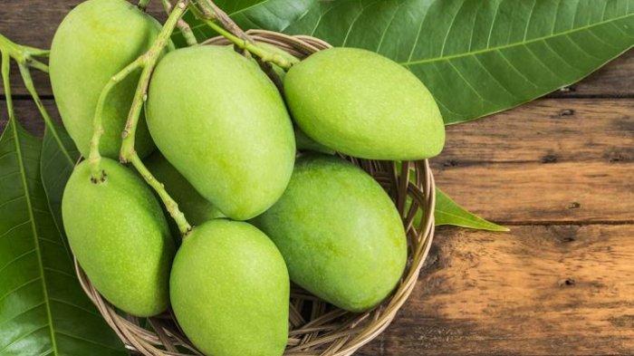 5 Cara Menyimpan Mangga Muda Agar Cepat Matang, Mengubur dalam Beras dan Menggunakan Kertas ...