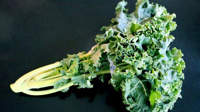 5 Manfaat Sayuran Kale bagi Tubuh, dari Turunkan Kolesterol hingga ...