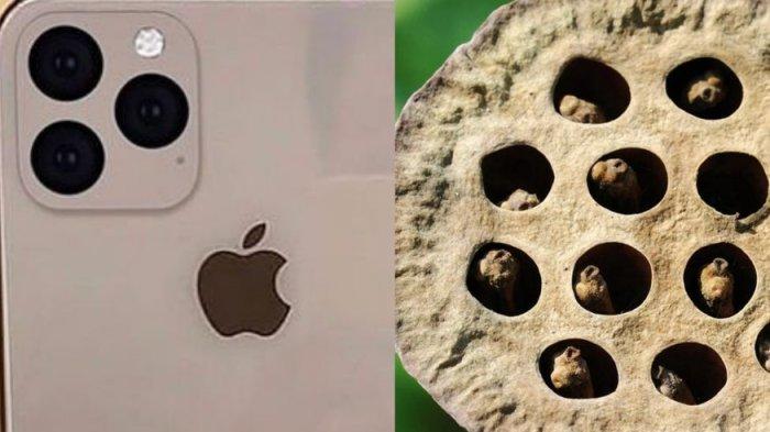 Trypophobia Trending di Twitter Setelah Rilis Iphone 11, Ini 4 Fakta ...