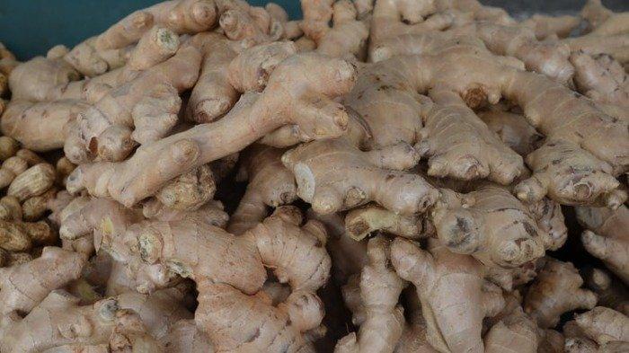 3 Jenis Jahe dan Perbedaannya, Perhatikan Karakternya dari Rasa, Warna ...