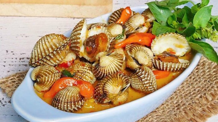 Resep Kari Kerang Dara - Sajian Lezat Dari Bahan Dasar Seafood, Awas ...