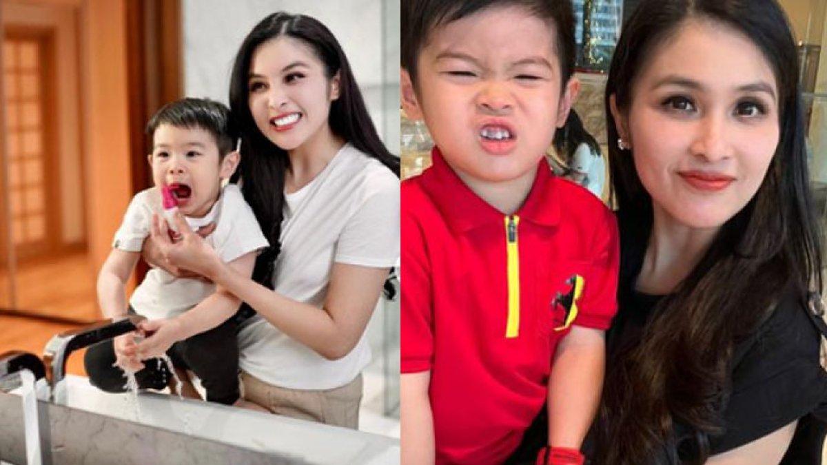 Putra Sandra Dewi Sempat Jatuh dari Ketinggian, Sebagian Saraf Gigi ...