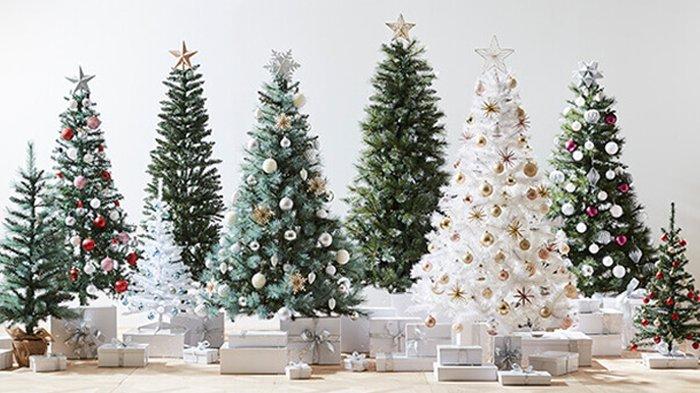 Arti 4 Warna Dekorasi Khas Natal yang Jarang Diketahui, Merah, Putih ...