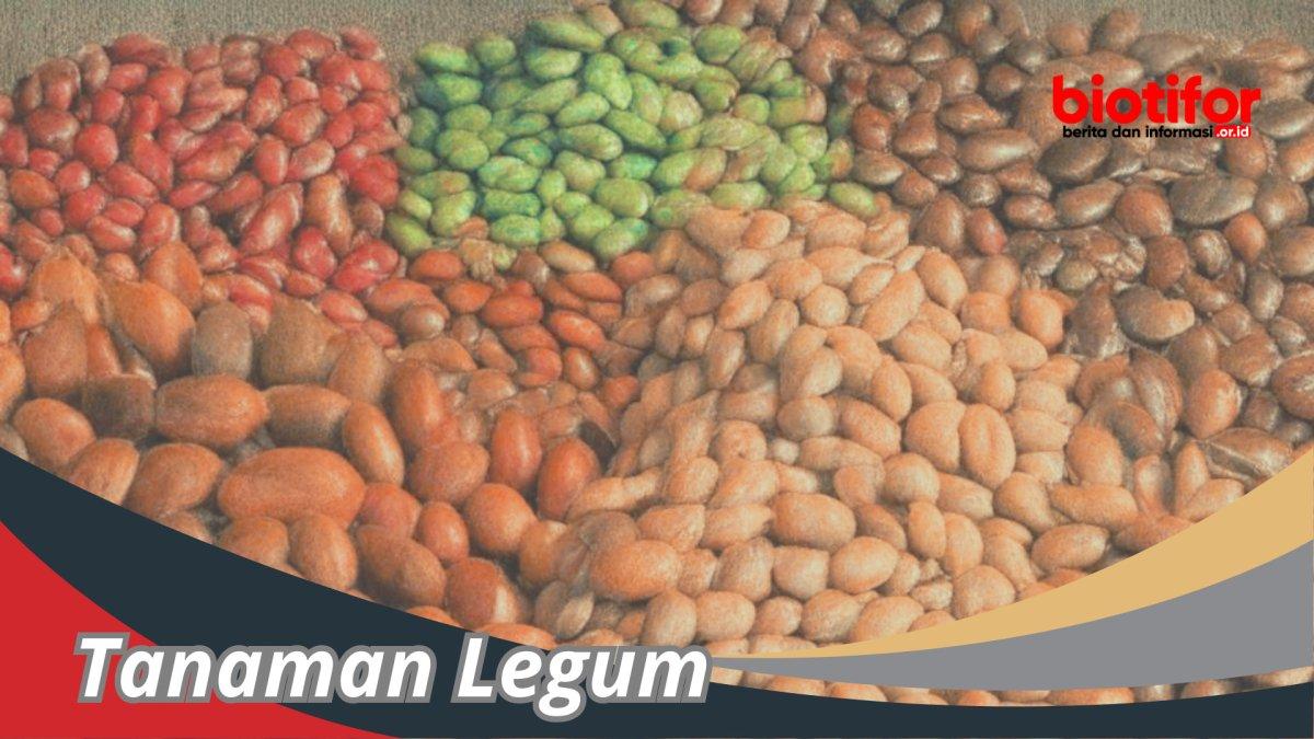 7 Makanan yang Harus Anda Perhatikan dan Kurangi Bagi Penderita ...