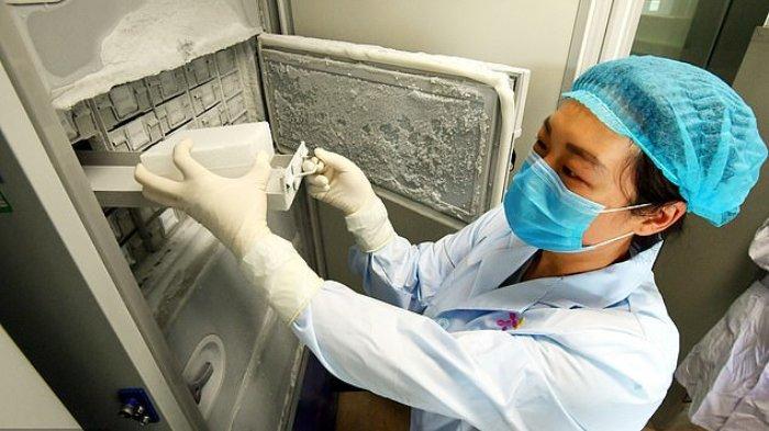 DITUDING Amerika Serikat Jadi Biang Pandemi Corona, Lihat Penampakan ...