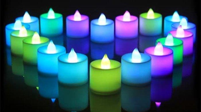 5 Cara Cepat Mengusir Nyamuk, Home Sweet Home, Bebas dari Serangga dan ...