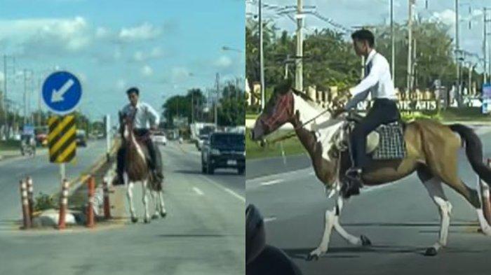 BBM Mahal, Mahasiswa Ini Pilih Naik Kuda ke Kampus, Teman-temannya ...