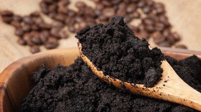 5 Manfaat Ampas Kopi Untuk Aktivitas Sehari Hari Dari Merawat Rambut