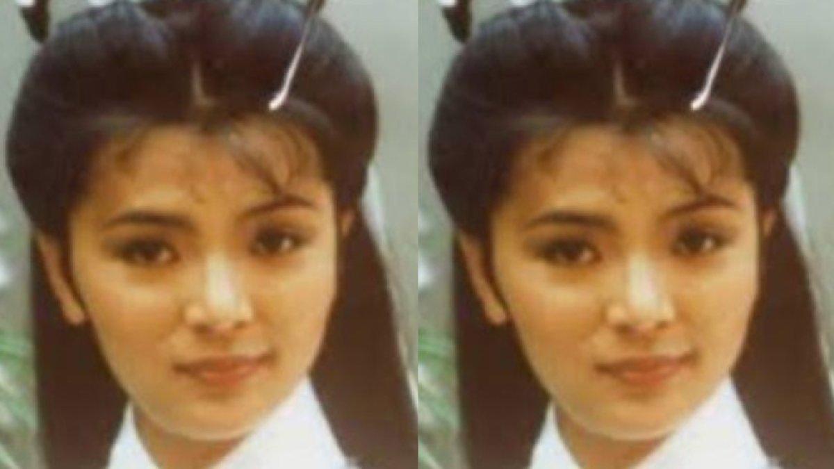 Masih Ingat Idy Chan Pemeran Bibi Lung Lawan Main Andy Lau? Betah ...