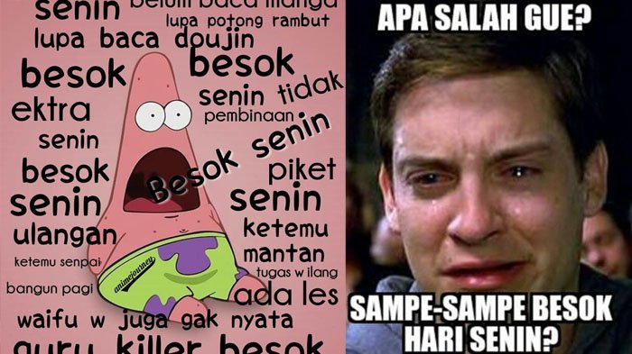 15 Meme Kocak Tentang 'Besok Senin', Bikin Kamu Senyum-senyum Hingga ...