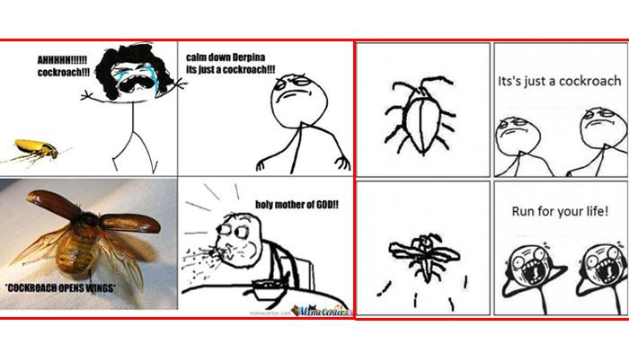 Memes Kecoa Terbang Dokter Tirtawijaya, Maafkan Atas Komen "absurd"