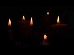 5 Cara Mudah dan Ampuh Untuk Mengusir Laron dari Rumah Kalian, Agar ...