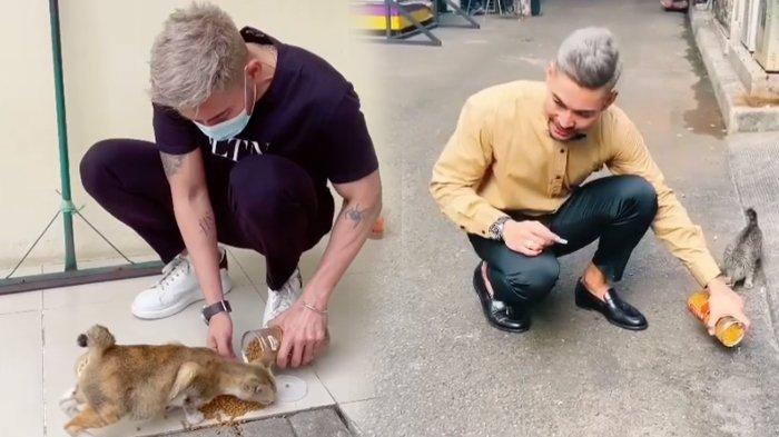 Penyayang Binatang, Ini 5 Momen Street Feeding Robby Purba, Beri Makan Kucing Jalanan ...