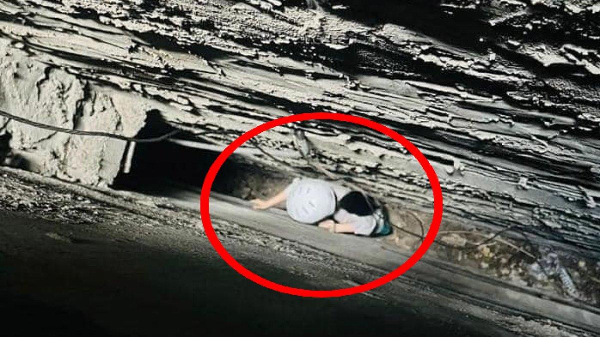 TOLONG! Niat Selamatkan Kucing, Wanita Ini Malah Terjebak di Celah ...