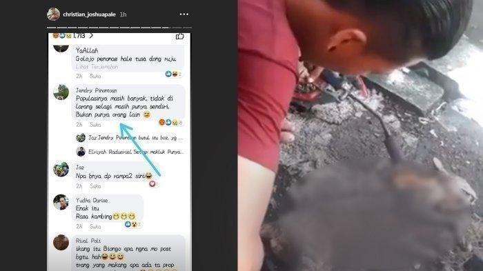 VIRAL Video Pemuda Pamer Bakar Kucing dan Makan Dagingnya, Komunitas ...
