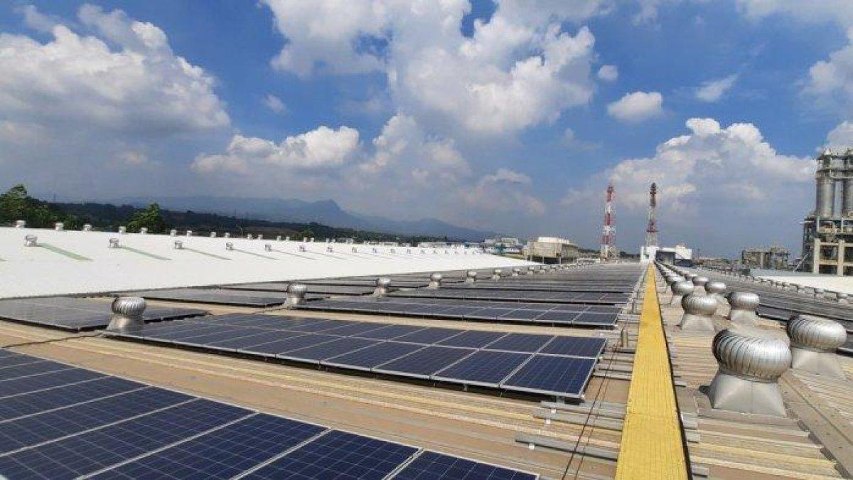 Teknologi yang Terinspirasi dari Struktur Jaringan Tumbuhan, Panel ...