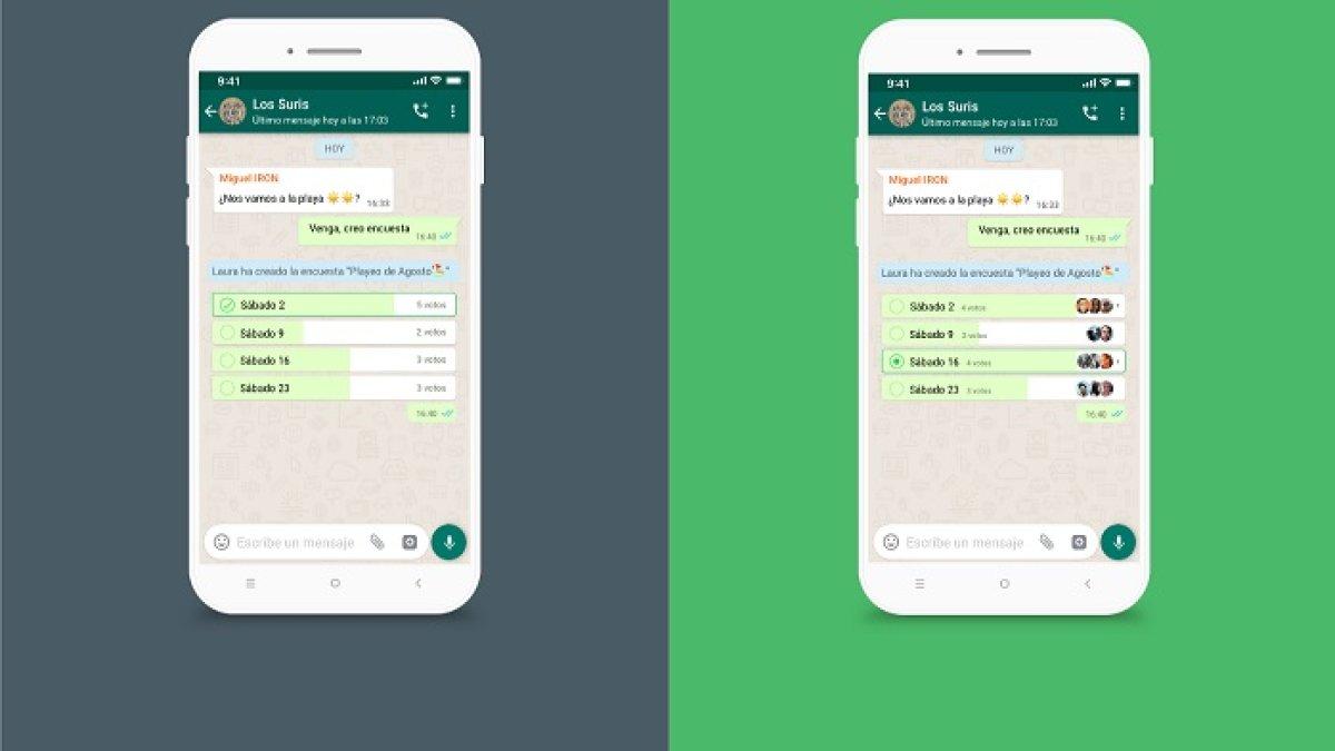 INILAH Cara Mudah Membuat Polling atau Vote di WhatsApp, Bisa untuk ...