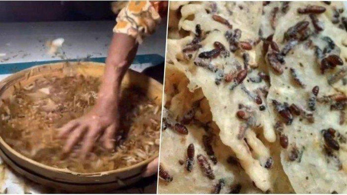 'BERKAH HUJAN' Pria di Wonogiri Panen Laron Untuk Dijadikan Peyek ...