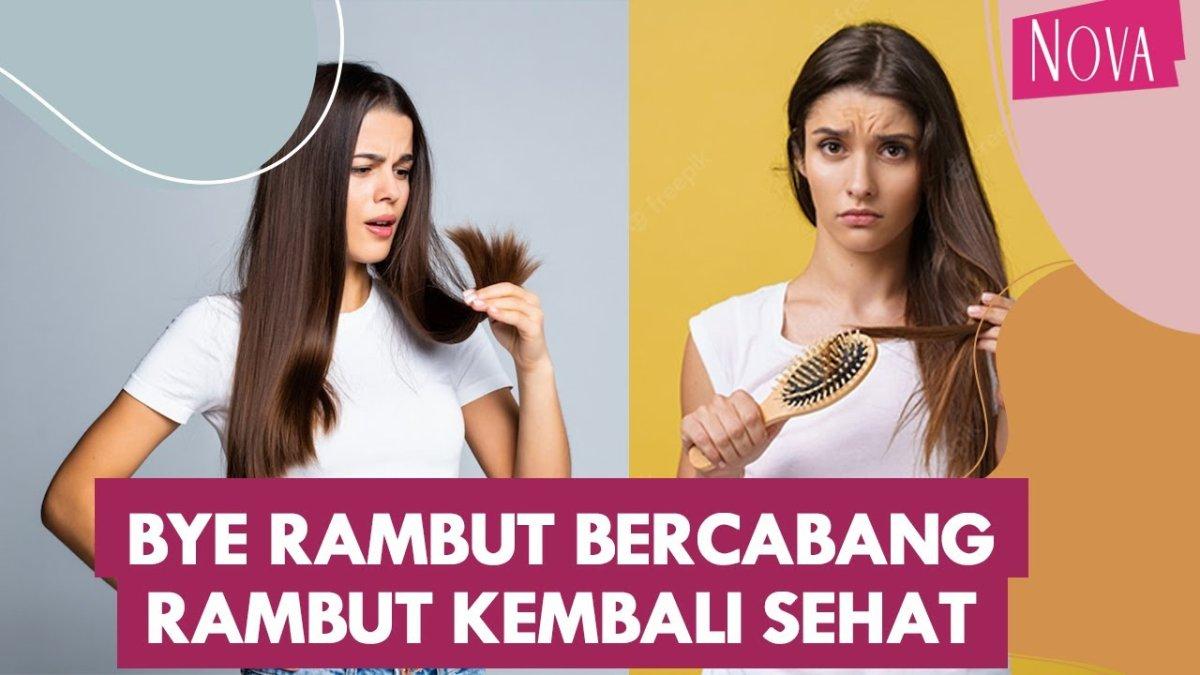 5 Cara Mudah Merawat Rambut Bercabang agar Kembali Sehat Berkilau ...