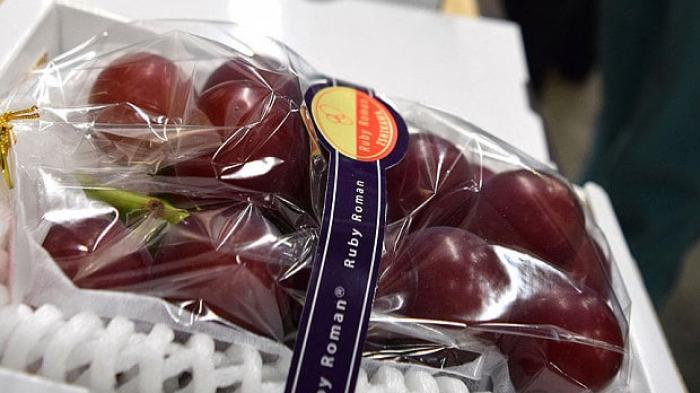 Fantastis! Percaya atau Tidak, Harga Setangkai Buah Anggur Jepang Ini ...