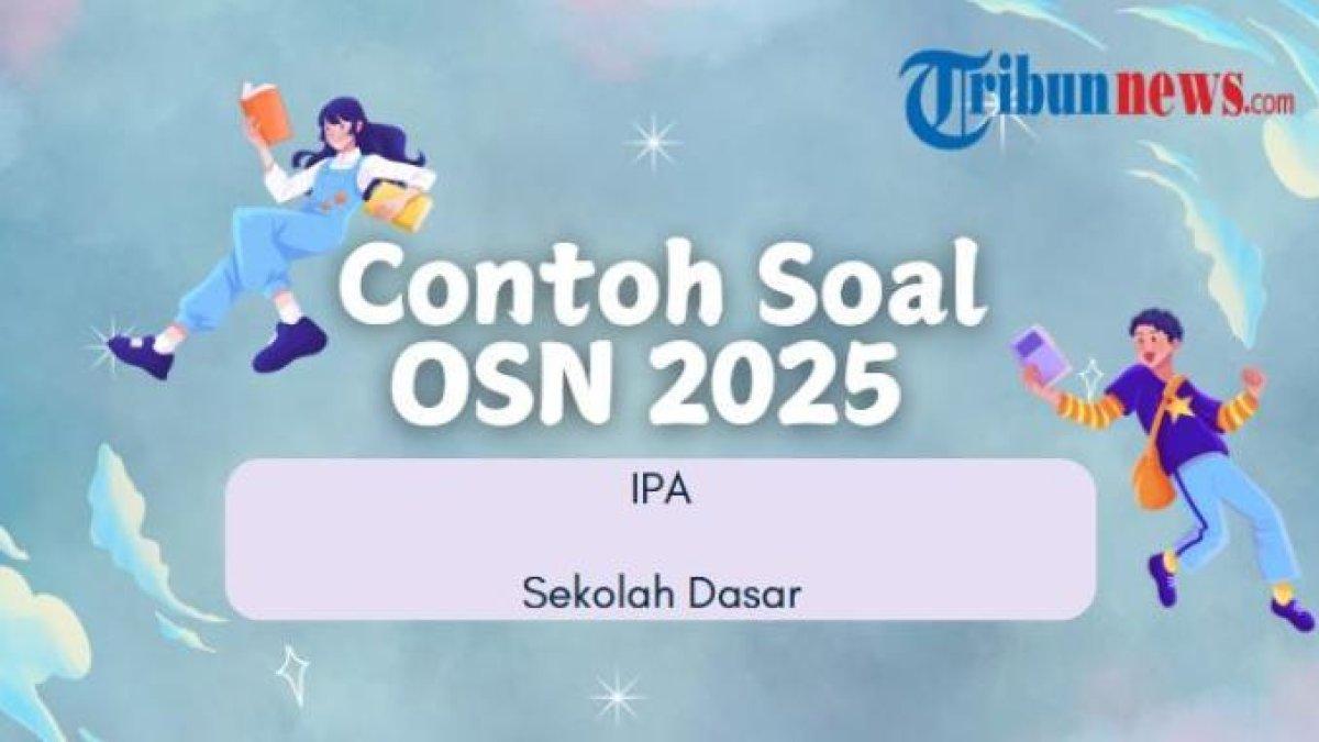 Terlengkap 2025, 30 Kunci Jawaban OSN IPA Jenjang SD, Kumpulan Soal Olimpiade Sains Nasional ...