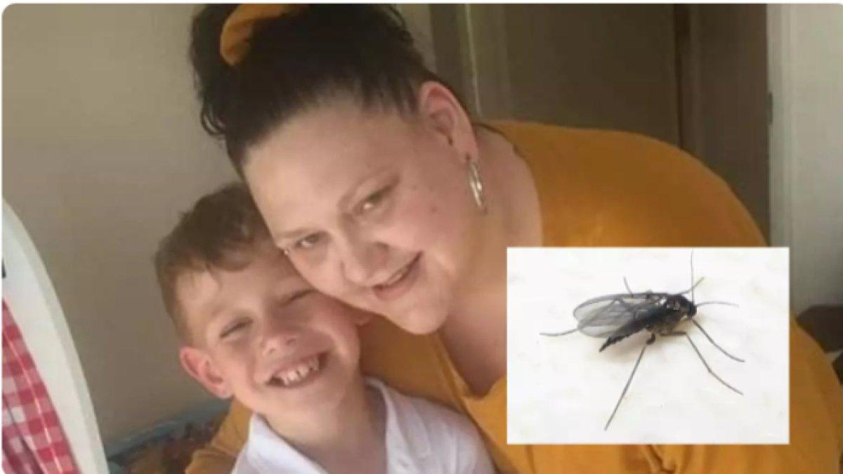 Gegara Digigit Serangga, Wanita Ini 13 Tahun Kesakitan hingga Nyaris ...