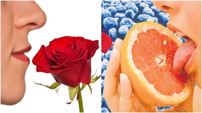 Tak Bisa Mencium Bau Jadi Gejala Paling Baru Virus Corona, Termasuk ...