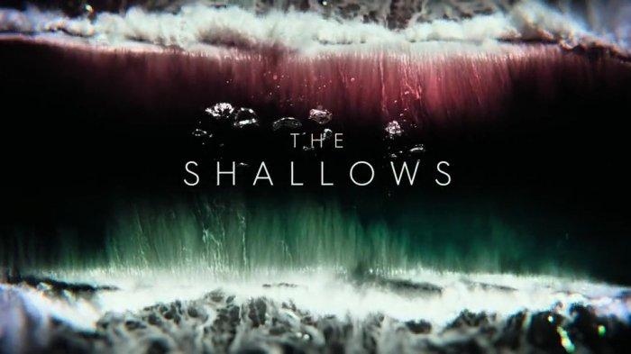 Sinopsis Film The Shallows, Tayang Malam Ini di Bioskop Trans TV Pukul ...