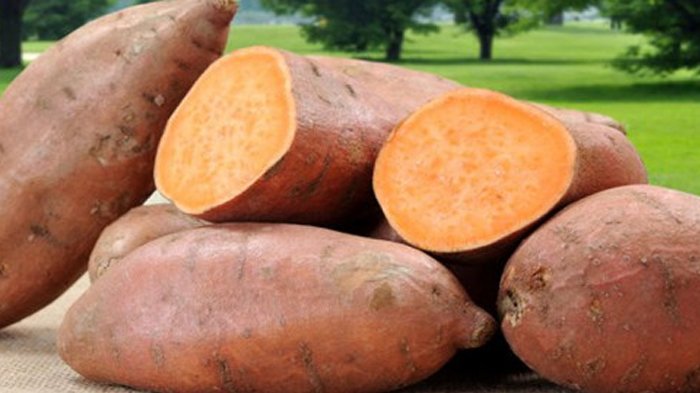 5 Cara Mudah Tambah Berat Badan Tanpa Konsumsi Obat Tambah Nafsu Makan ...