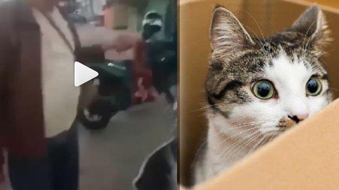Viral Pria Makan Kucing Hidup-hidup, Polisi Masih Memburu Pelaku & Mencari Tahu Motifnya ...