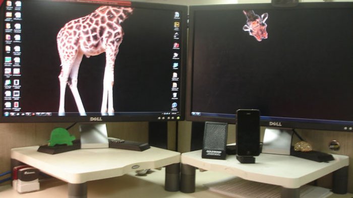 7 Wallpaper Komputer Ini Tampil Tak Biasa dan Kreatif Banget, Dijamin ...
