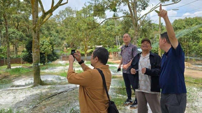 Ikhtiar Aksa Mahmud Jadi 'Raja Durian' Terbang ke Malaysia Belajar ...