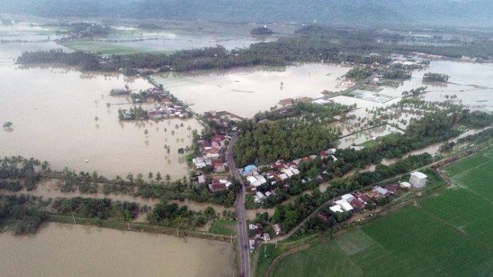 Banjir Rendam Ratusan Hektar Sawah di Polman, Beberapa Baru Kelar Tanam - Tribun-sulbar.com
