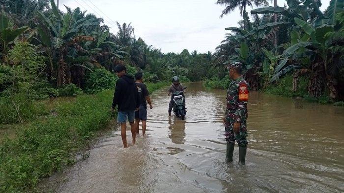 BERITA FOTO: Jalan Sepanjang 700 Meter di Dusun Karya Makmur Pasangkayu ...