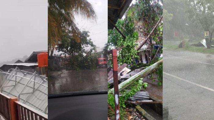 BREAKING NEWS: Angin Kencang Landa Mamuju Pagi Ini, Pohon Tumbang Hingga Atap Rumah Warga ...