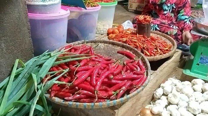 Harga Cabai di Mamuju Tengah Makin Pedas - Tribun-sulbar.com Harga Cabai di Mamuju Tengah Makin Pedas - Tribun-sulbar.com