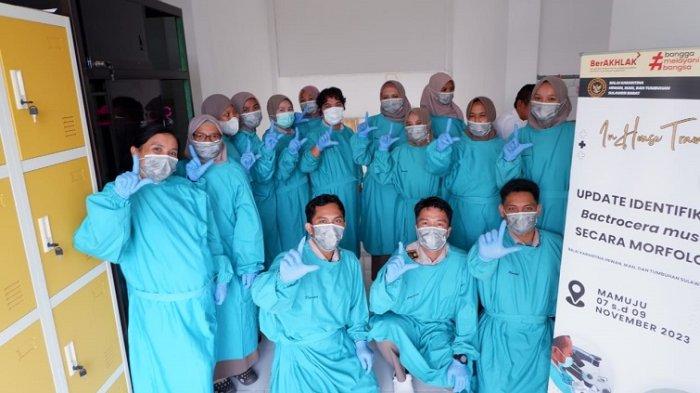 Karantina Mamuju Gelar Pelatihan Griyaan Identifikasi Bactrocera Musae ...