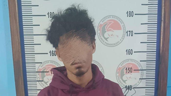 Oknum karyawan Perusahaan Sawit di Pasangkayu Diciduk Polisi Kantongi ...