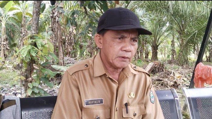 Cuaca Ekstrem, BPBD Mamuju Tengah Imbau Warga Siaga Bencana Banjir dan Longsor - Tribun-sulbar.com