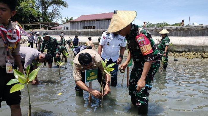 Kodim 1427/Pasangkayu Tanam 1.300 Mangrove di Pantai Sarudu - Tribun ...
