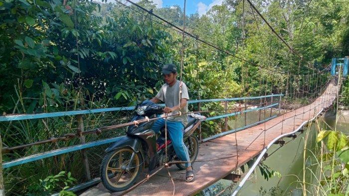 Jembatan Gantung Desa Indo Banua Mamasa Butuh Perhatian Pemerintah, Sudah Lapuk - Tribun-sulbar.com