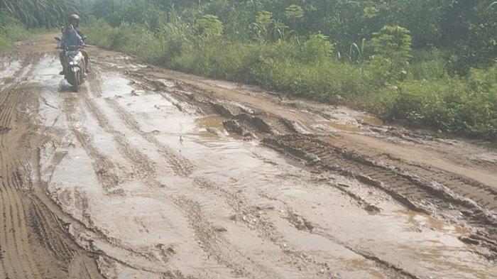 Penampakan Jalan Swakarsa Mamuju Tengah, Becek Berlumpur - Tribun ...