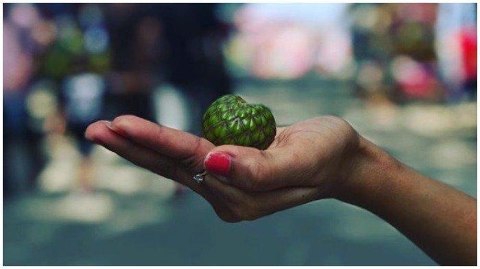 Tak Banyak yang Tahu, Inilah Manfaat Buah Rumbia untuk Kesehatan Tubuh ...