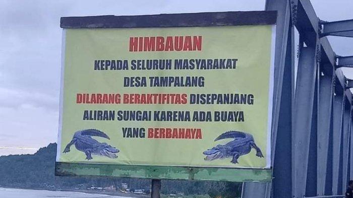 Ada Warga Diterkam Buaya, Pemdes Tampalang Pasang Papan Peringatan di ...