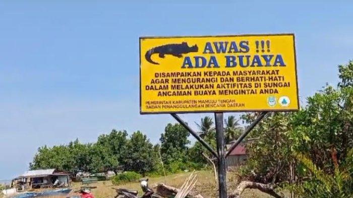 Papan Peringatan Sudah Terpasang Sebelum Insiden Warga Diterkam Buaya ...