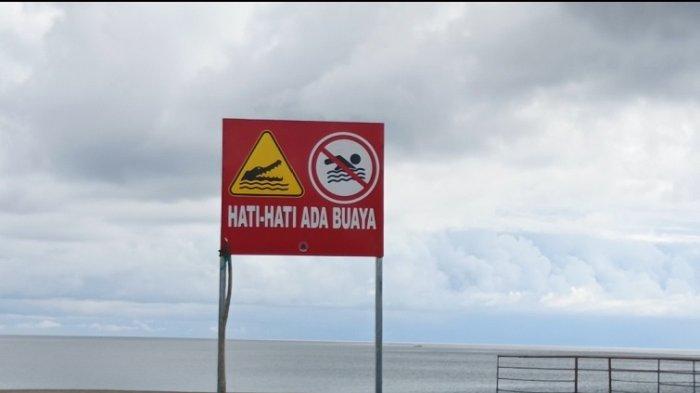 Buaya Sering Muncul, BPBD Pasangkayu Pasang Papan Peringatan di ...
