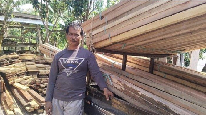 Pengusaha Kayu di Mamuju Tengah Ramai Pembeli di Momen Pemilu 2024 ...