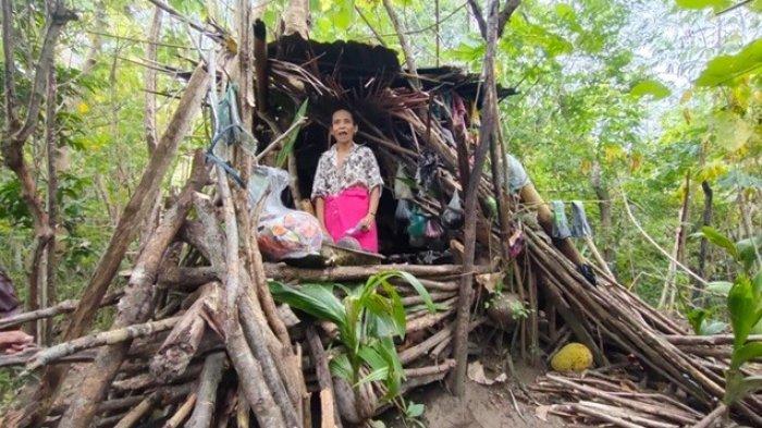 Nestapa Lansia,Bertahan Hidup Seorang Diri di Gubuk Reyot Mirip Kandang ...